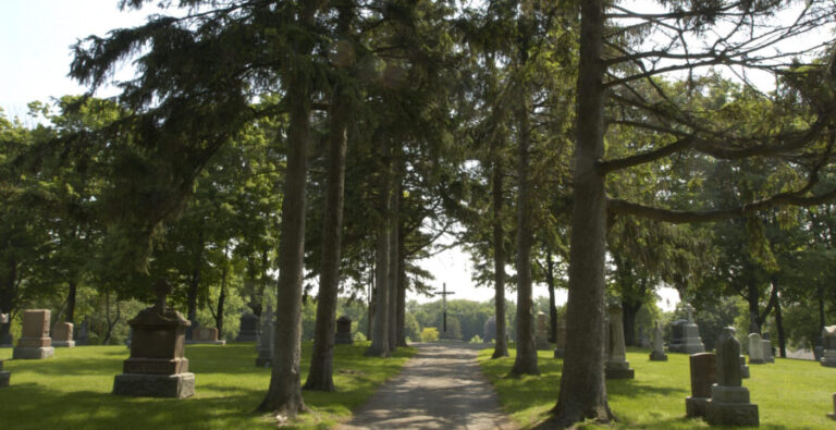 St. Augustine Cemetery - The Catholic Cemeteries